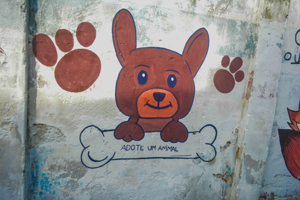 Grafitando os muros da cidade de Macaíba – Brechando